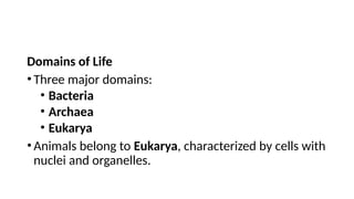 introduction to animals, their characters, phylogeny | PPTX