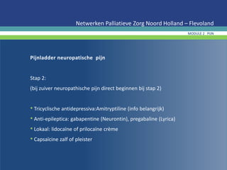 Module Pijn vpk 2016 powerpoint.ptt