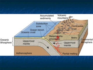 Module 2 Week 3 Tectonic Features | PPT
