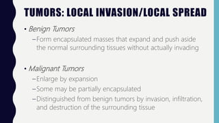 Pathophysiology: Cancer and Genetics | PPTX