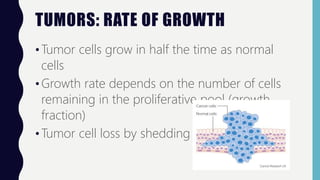 Pathophysiology: Cancer and Genetics | PPTX
