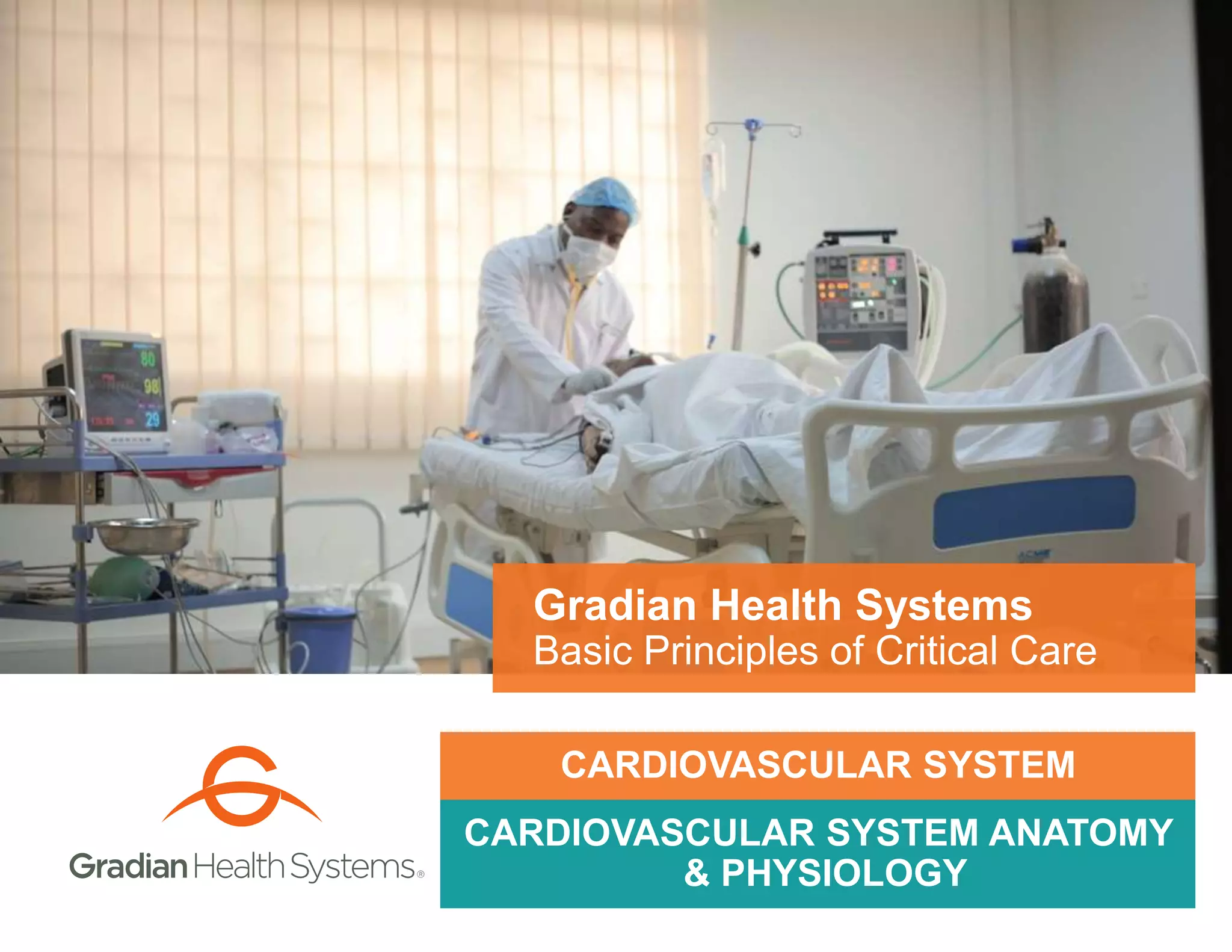 Module 3.1 Cardiovascular System Anatomy & Physiology | PPTX