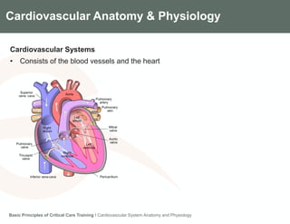 Module 3.1 Cardiovascular System Anatomy & Physiology | PPTX