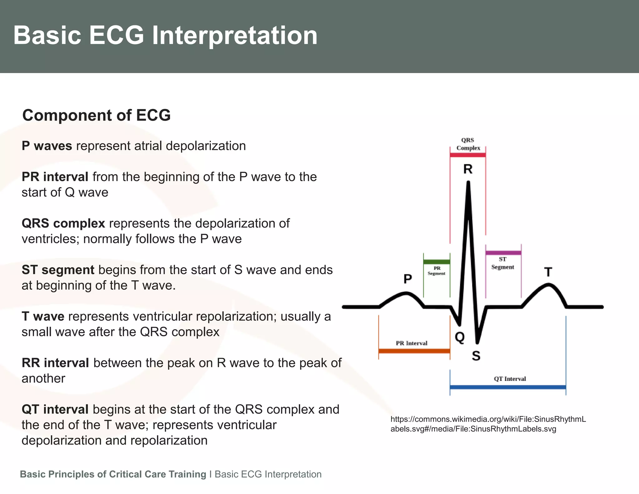 Module 3.6 Basic ECG Interpretation | PPTX
