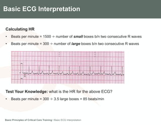 Module 3.6 Basic ECG Interpretation | PPTX