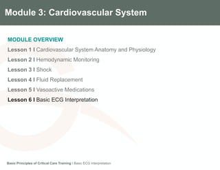 Module 3.6 Basic ECG Interpretation | PPTX