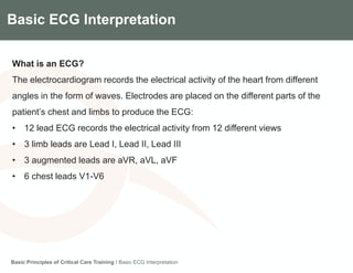 Module 3.6 Basic ECG Interpretation | PPTX