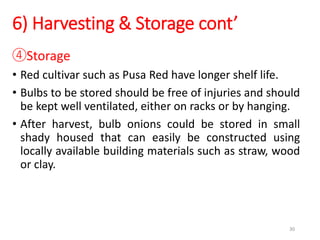 Module 3.06 (No.2) Onion Cultivation【under revision】.pptx