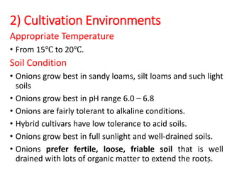 Module 3.06 (No.2) Onion Cultivation【under revision】.pptx