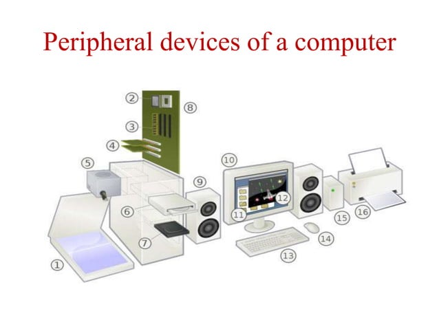 MODULE 3.pptx | Computer Peripherals | Computing