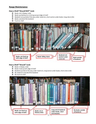 Module 3 collection maintenance | DOCX