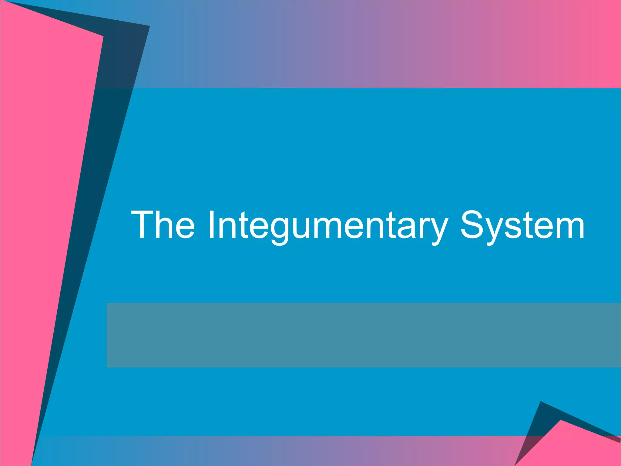 Module 3 integumentary system 1 | PPT