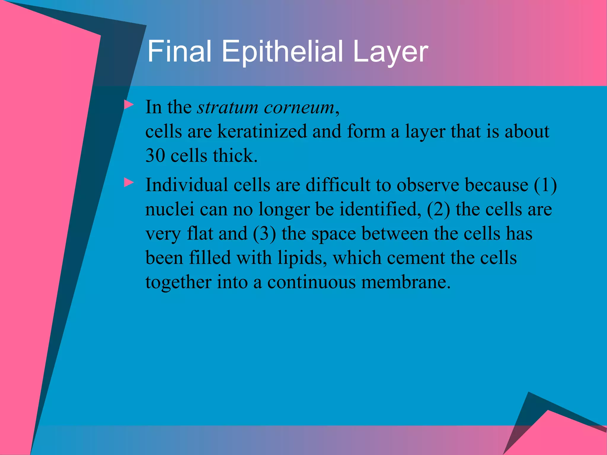 Module 3 integumentary system 1 | PPT