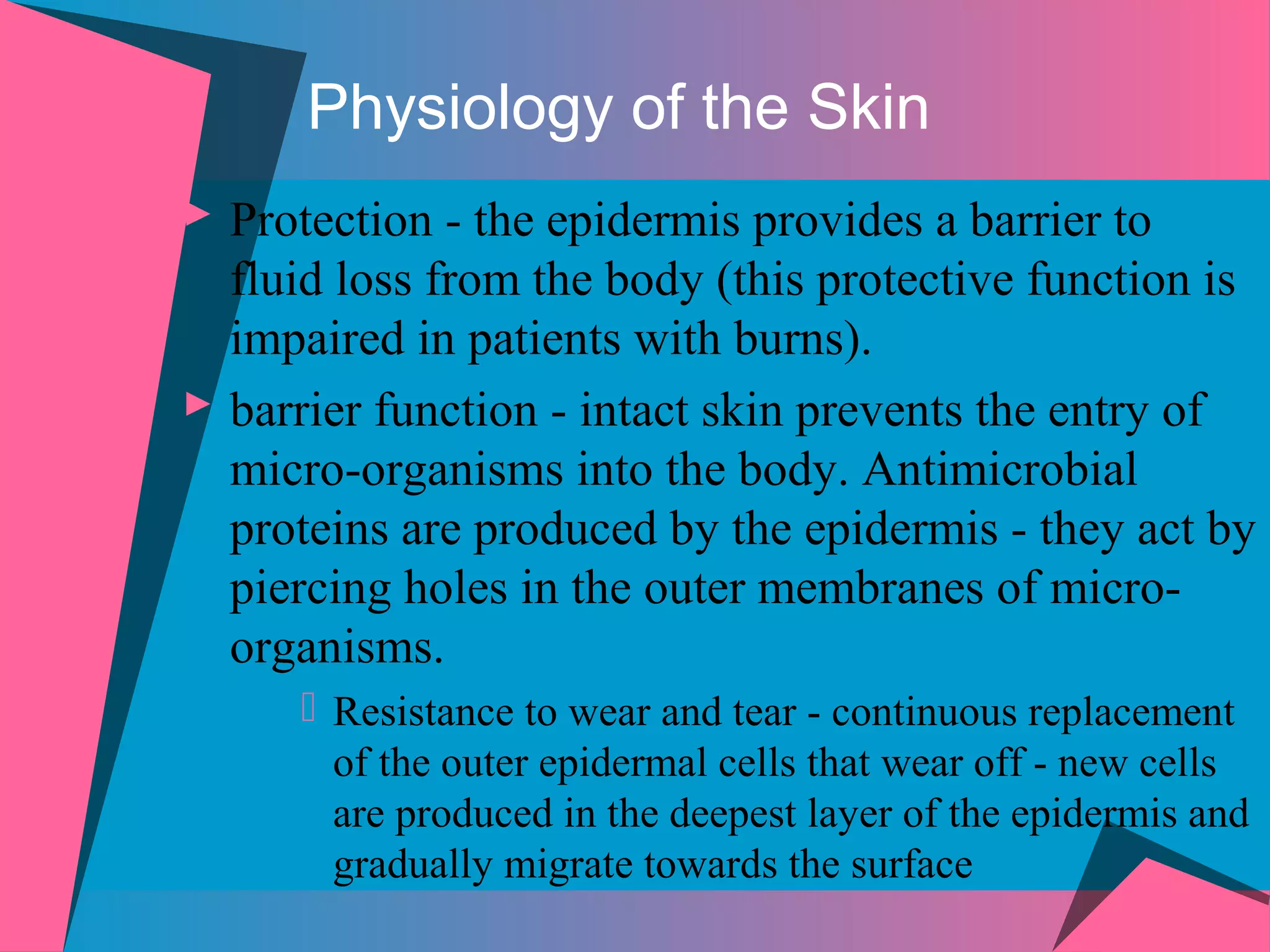 Module 3 integumentary system 1 | PPT