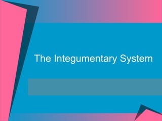 Module 3 integumentary system 1 | PPT