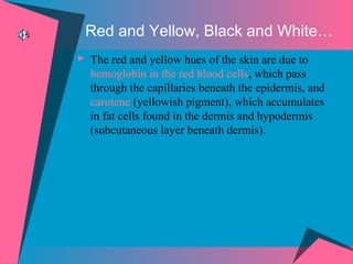 Module 3 integumentary system 1 | PPT