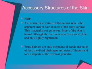 Module 3 integumentary system 1 | PPT