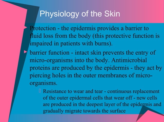 Module 3 integumentary system 1 | PPT