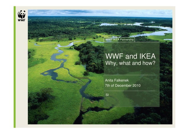 Module 3 - WWF | PPT