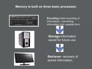 Nature and Nurture.. | PPT