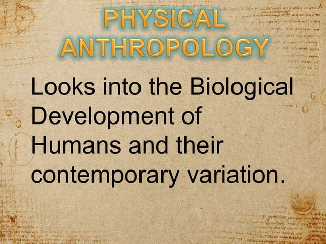 Module 3 anthropology and the study of culture | PPTX | Science