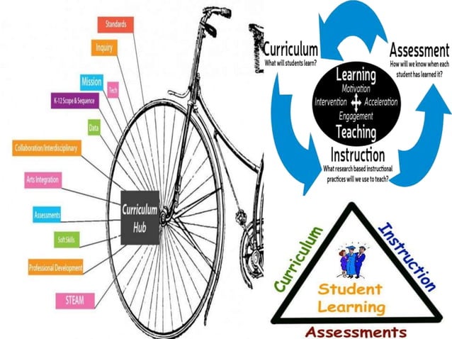 Module 3 Curriculum Design and Development.pptx | Primary Education ...
