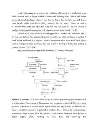 Module 3 environment | PDF