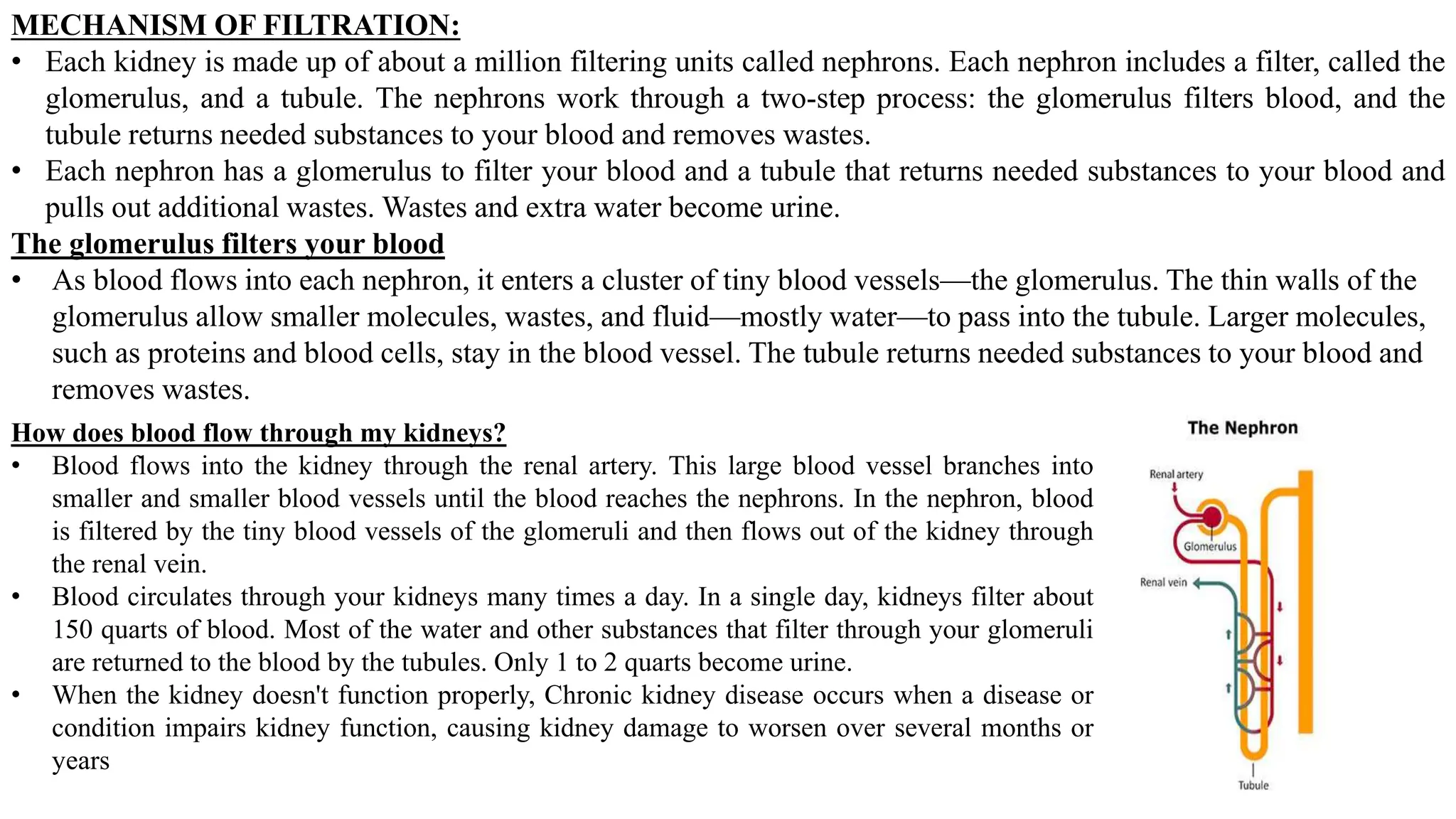HUMAN ORGAN SYSTEMS AND BIO-DESIGNS - 2 (QUALITATIVE)_.pptx