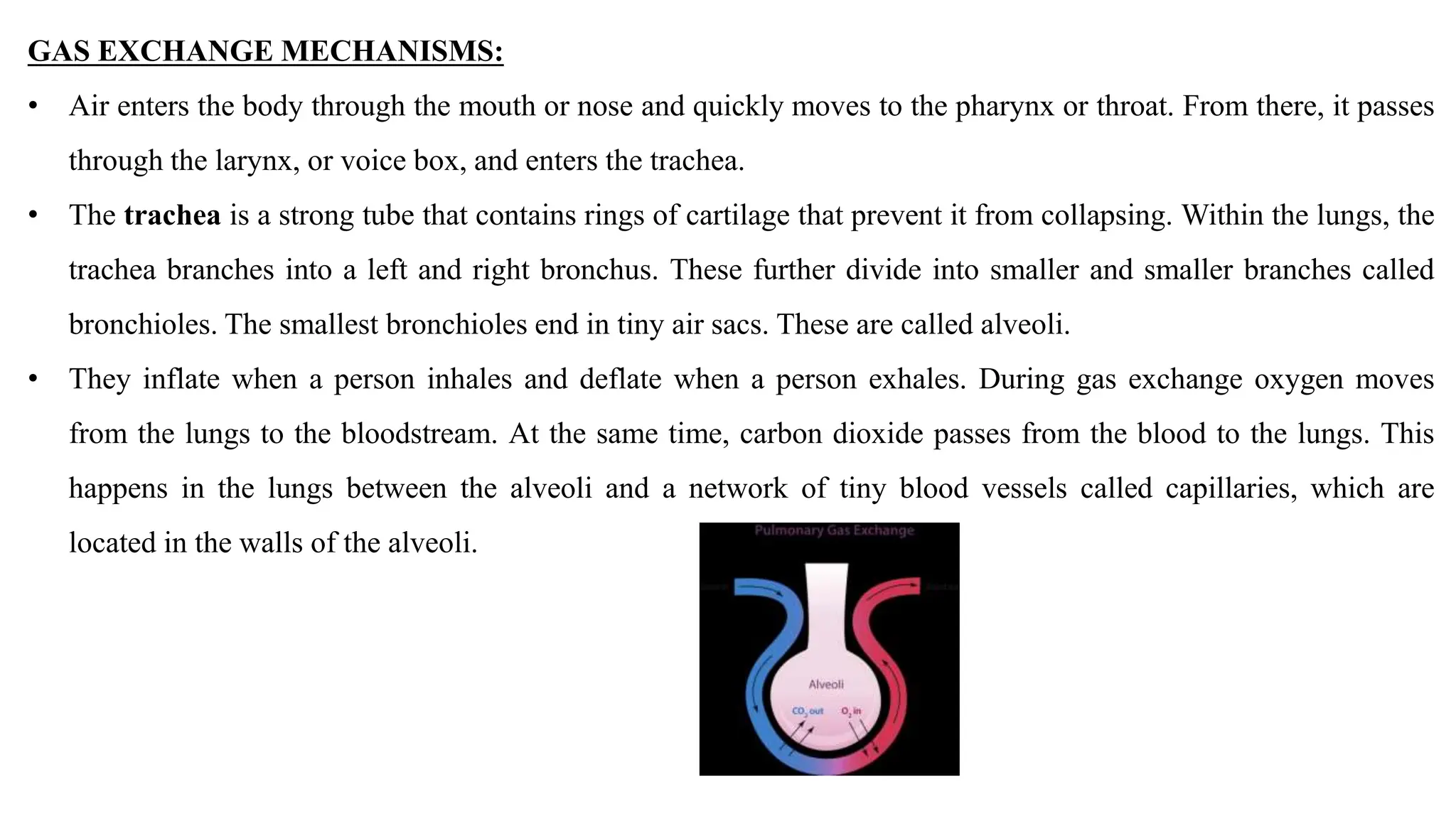 HUMAN ORGAN SYSTEMS AND BIO-DESIGNS - 2 (QUALITATIVE)_.pptx