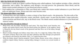 HUMAN ORGAN SYSTEMS AND BIO-DESIGNS - 2 (QUALITATIVE)_.pptx