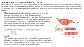 HUMAN ORGAN SYSTEMS AND BIO-DESIGNS - 2 (QUALITATIVE)_.pptx