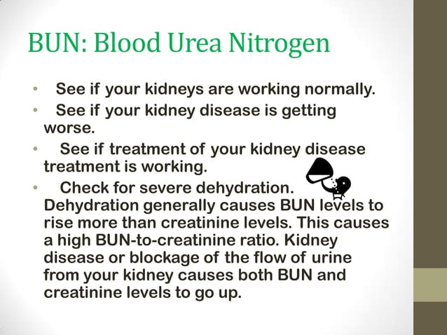 Module 3 kidney and liver function | PPT