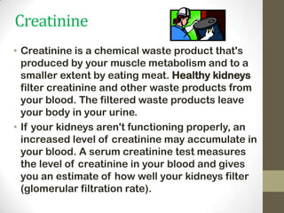 Module 3 kidney and liver function | PPTX
