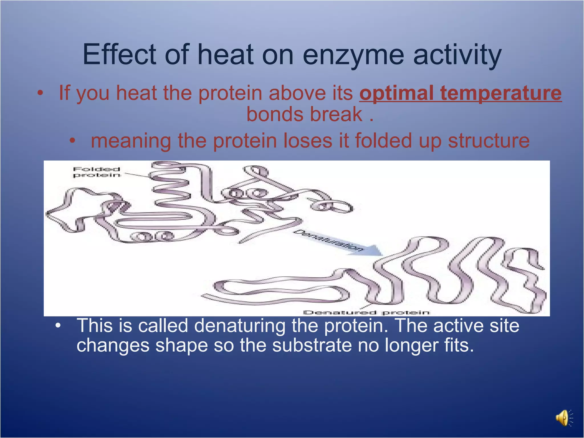 Module 3, lesson 2 enzymes3 | PPT