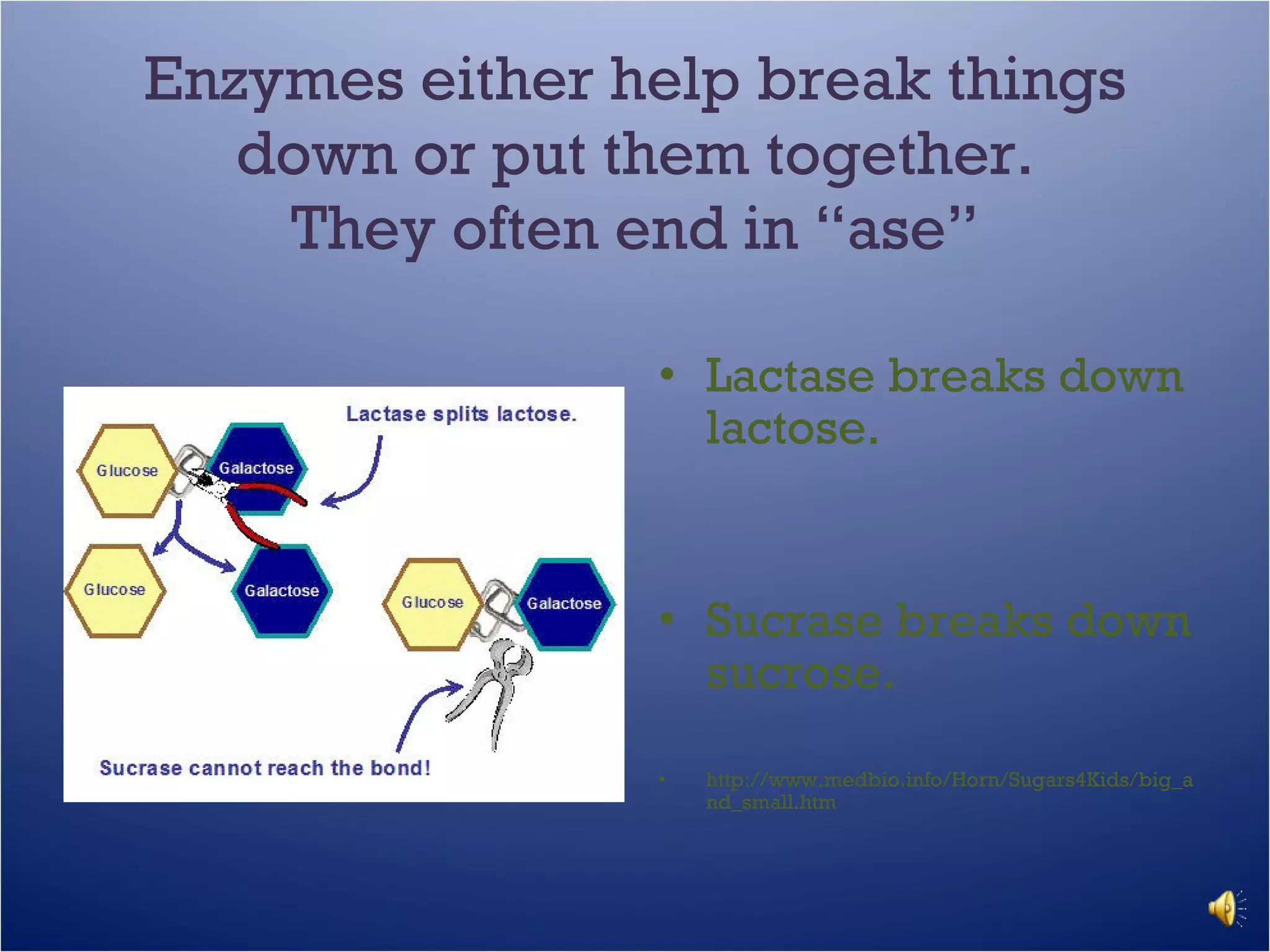 Module 3, lesson 2 enzymes3 | PPT
