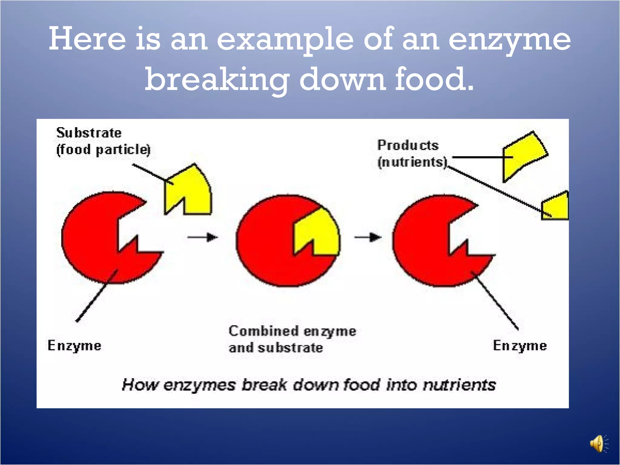 Module 3, lesson 2 enzymes3 | PPT