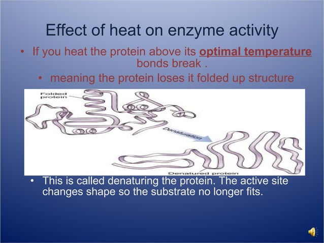 Module 3, lesson 2 enzymes3 | PPT