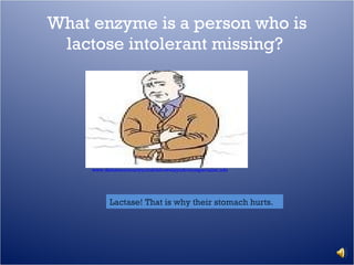 Module 3, lesson 2 enzymes3 | PPT