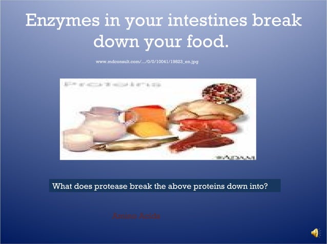 Module 3, lesson 2 enzymes3 | PPT