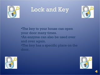 Module 3, lesson 2 enzymes3 | PPT