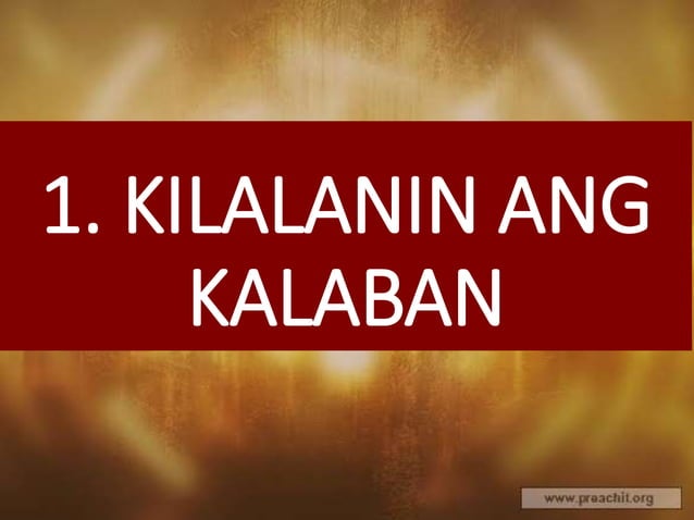 Module 3 lesson 5 | PPT