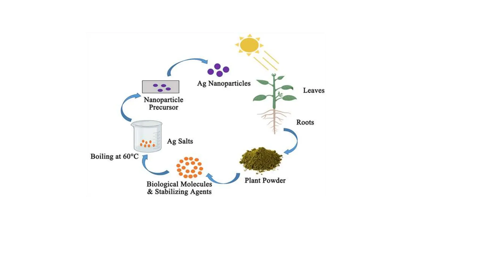 Module 3 Nano Bioengineering (2).pptx OF BIO | PPT