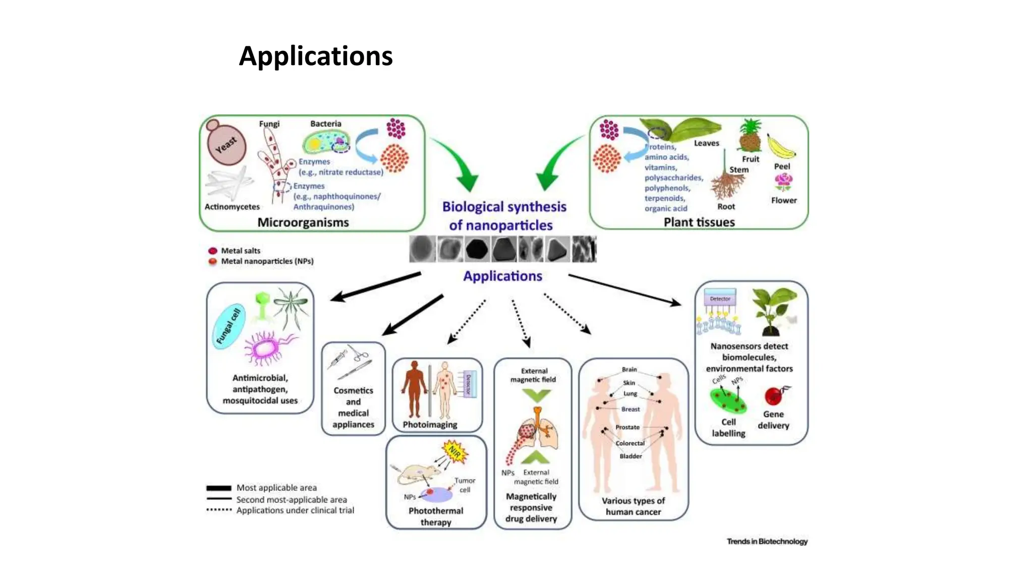 Module 3 Nano Bioengineering (2).pptx OF BIO | PPT