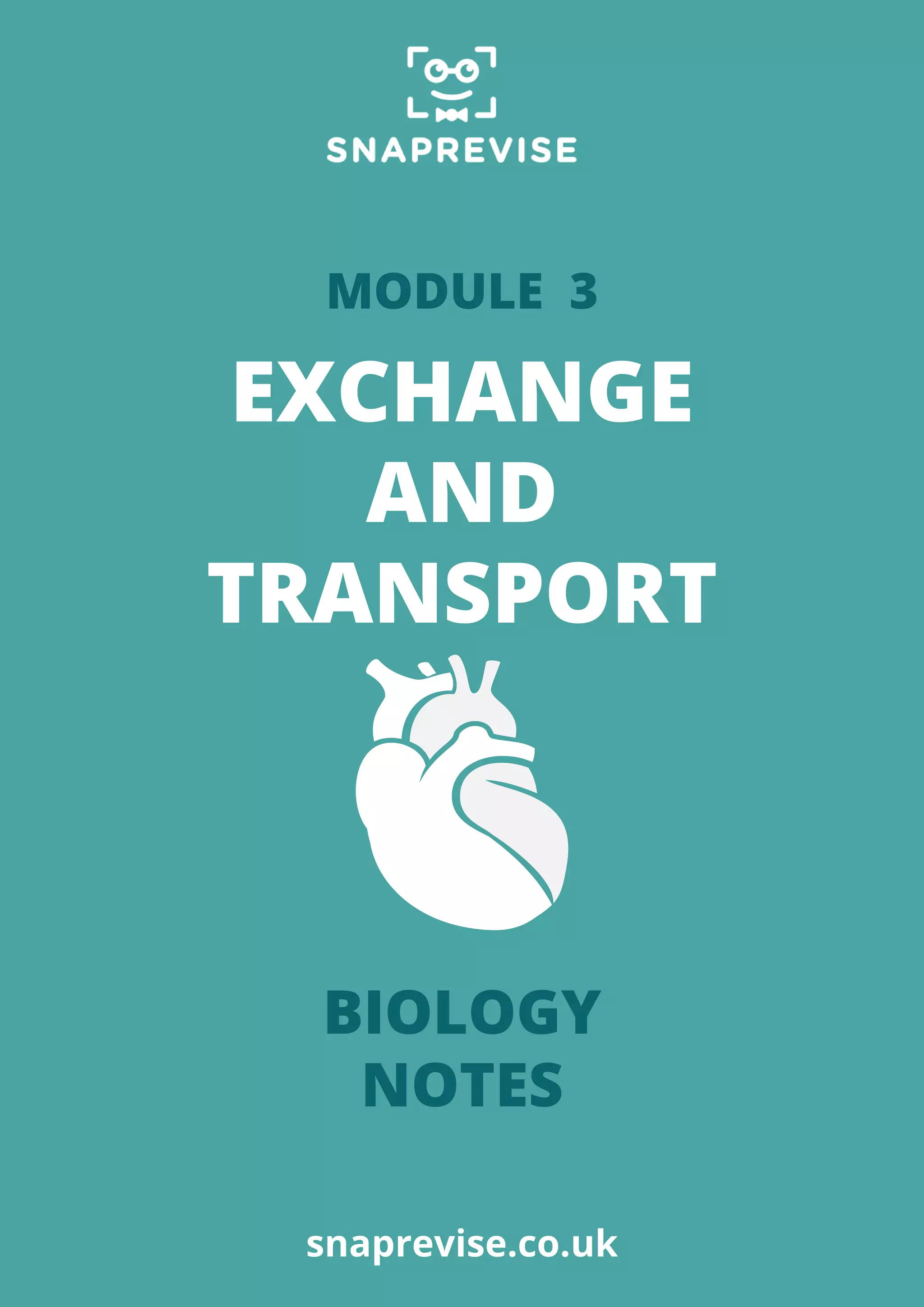 A-level OCR Biology Notes: Exchange & Transport (Module 3) | PDF