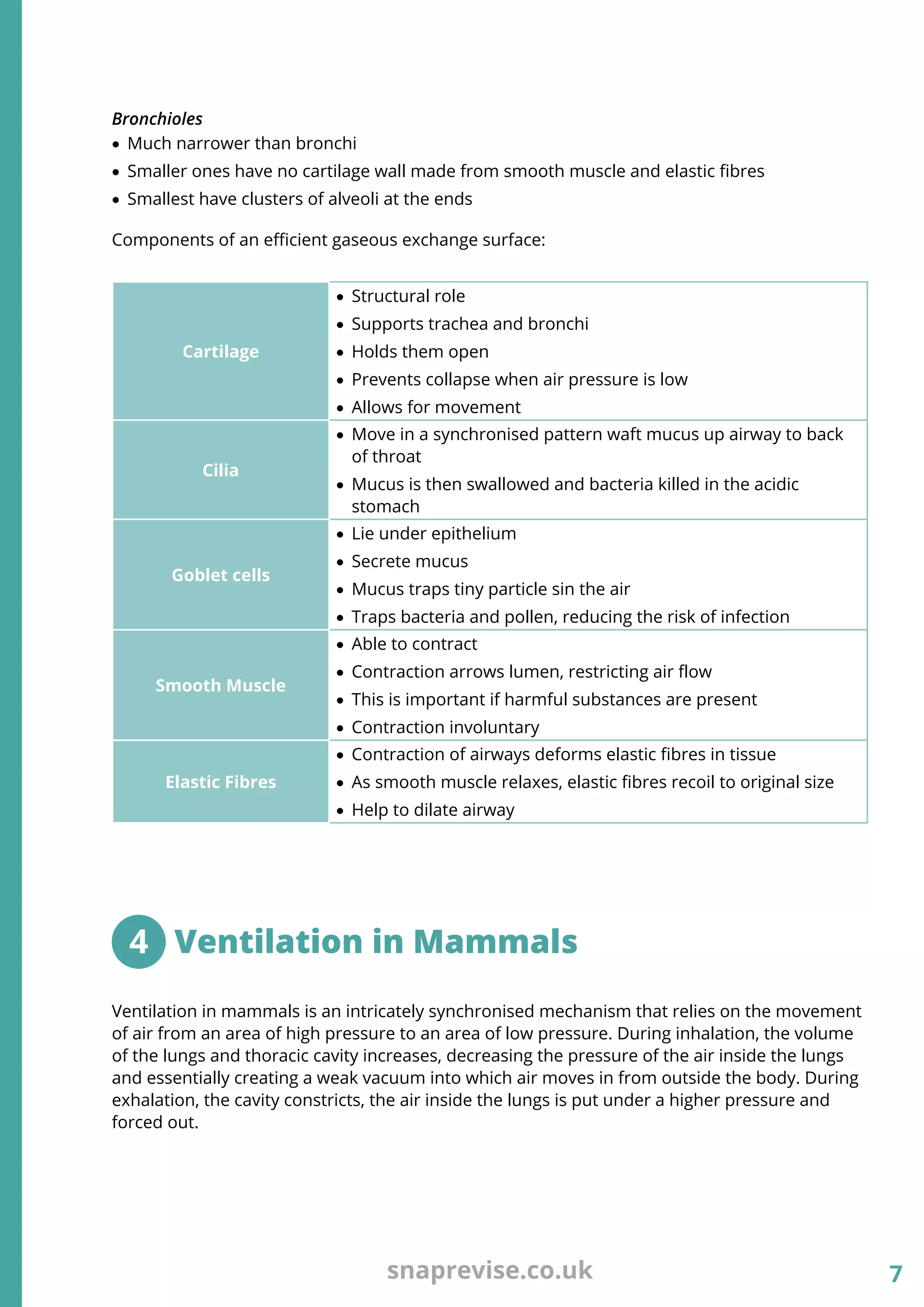 A-level OCR Biology Notes: Exchange & Transport (Module 3) | PDF