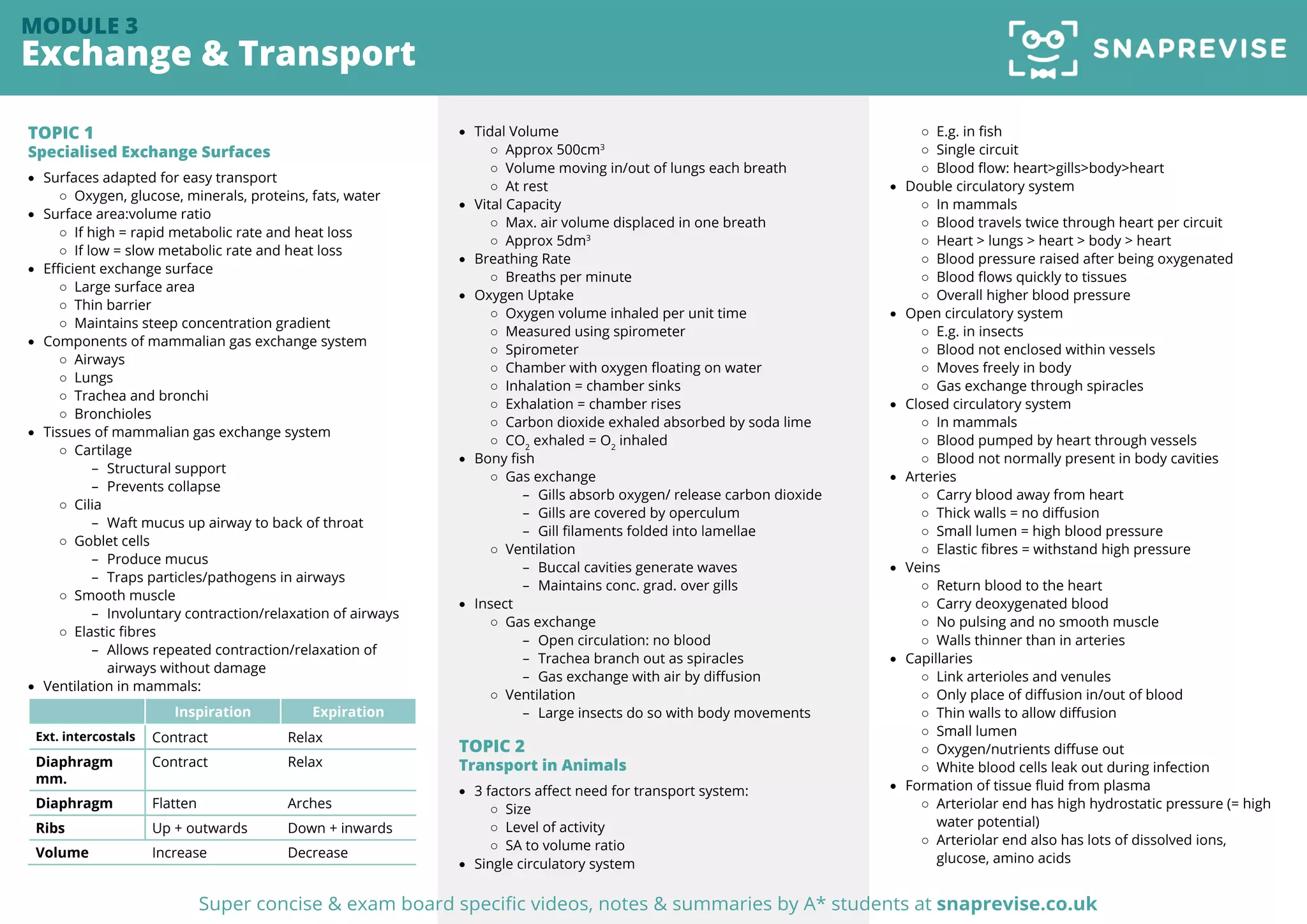 A-level OCR Biology Past Paper Summary: Exchange & Transport (Module 3 ... A-level OCR Biology Past Paper Summary: Exchange & Transport (Module 3 ...