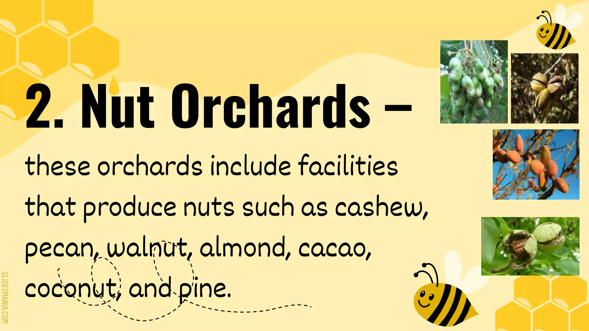 Module 3_ ORCHARD FARMS AND PLANT PROPAGATION .pptx