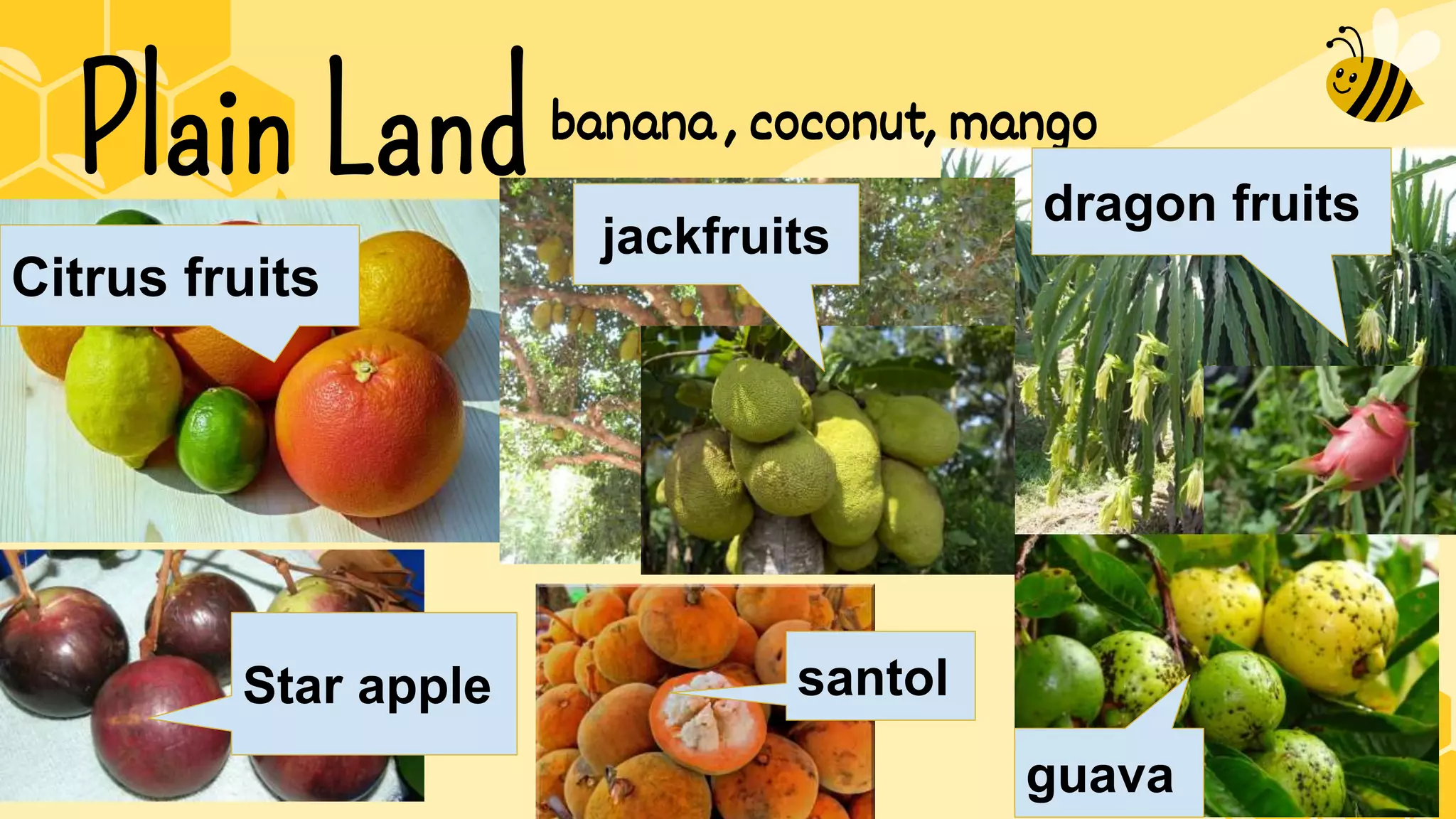 Module 3_ ORCHARD FARMS AND PLANT PROPAGATION .pptx