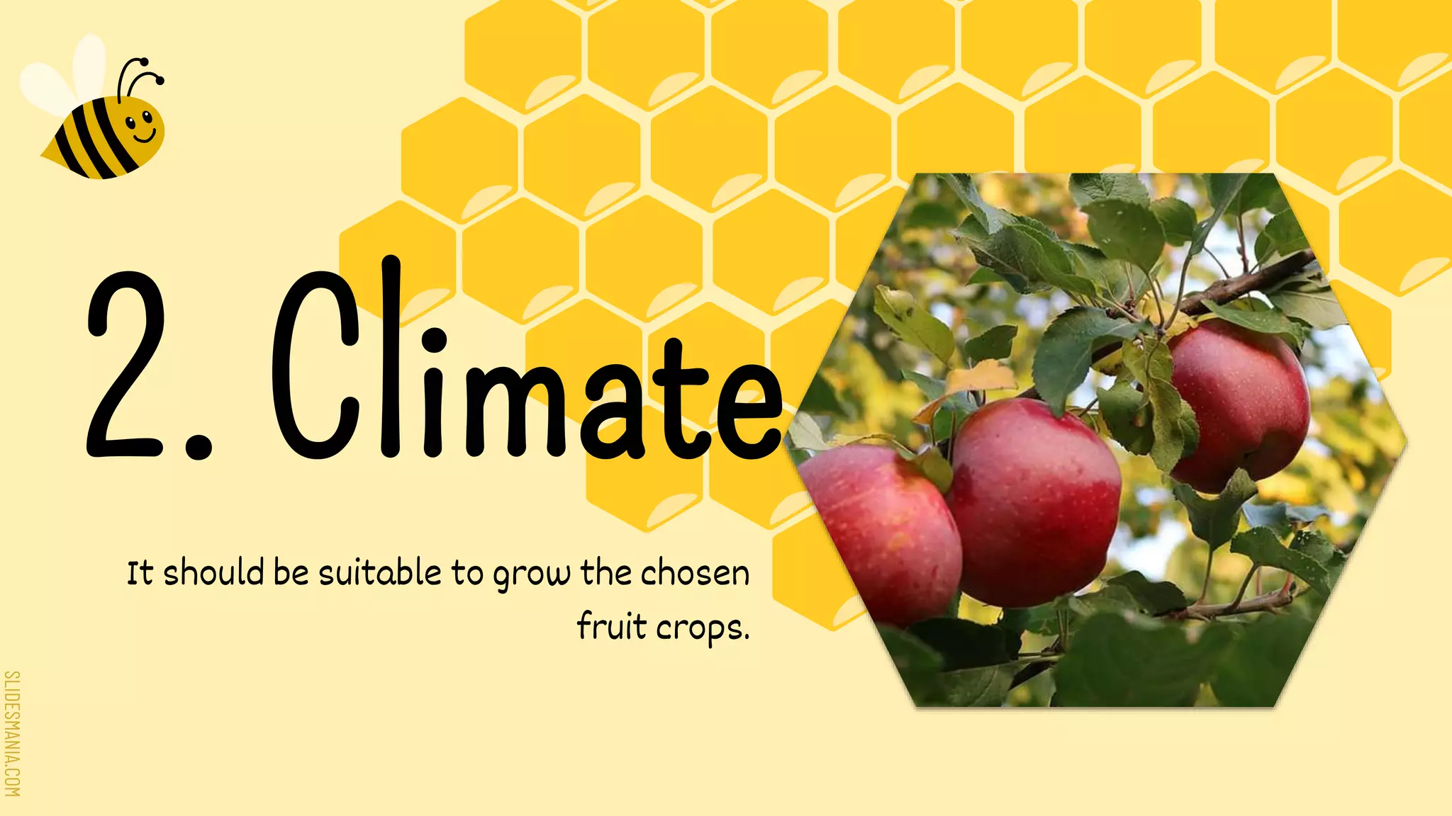 Module 3_ ORCHARD FARMS AND PLANT PROPAGATION .pptx