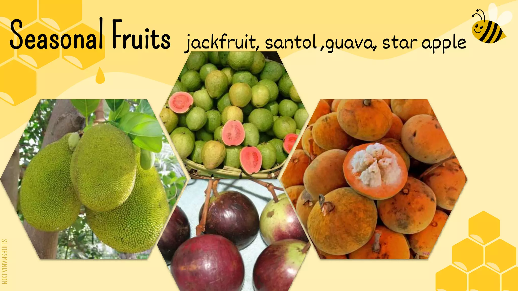 Module 3_ ORCHARD FARMS AND PLANT PROPAGATION .pptx